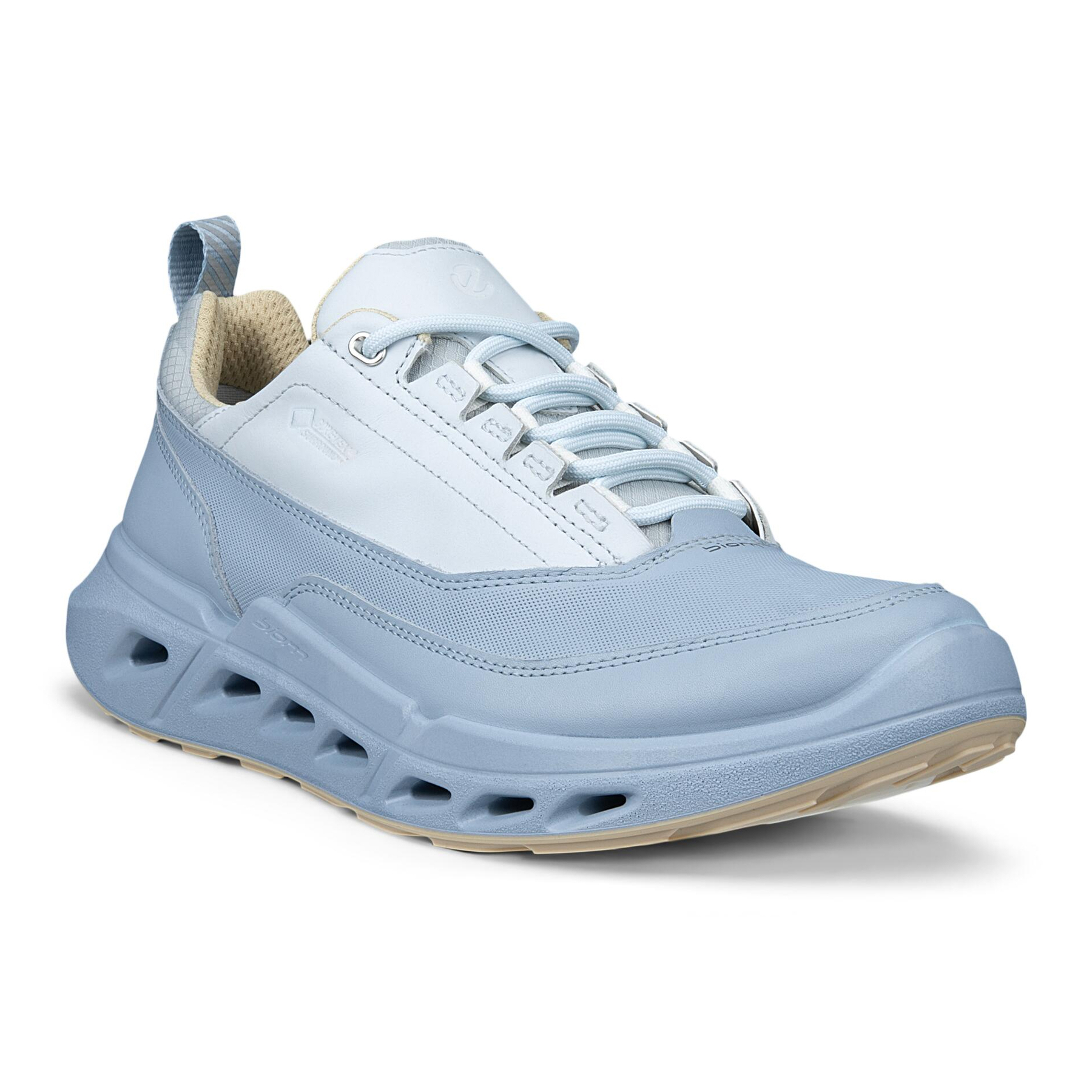 Кроссовки ECCO BIOM 720 W 850303/61641 — купить по цене 18499 руб.в ...